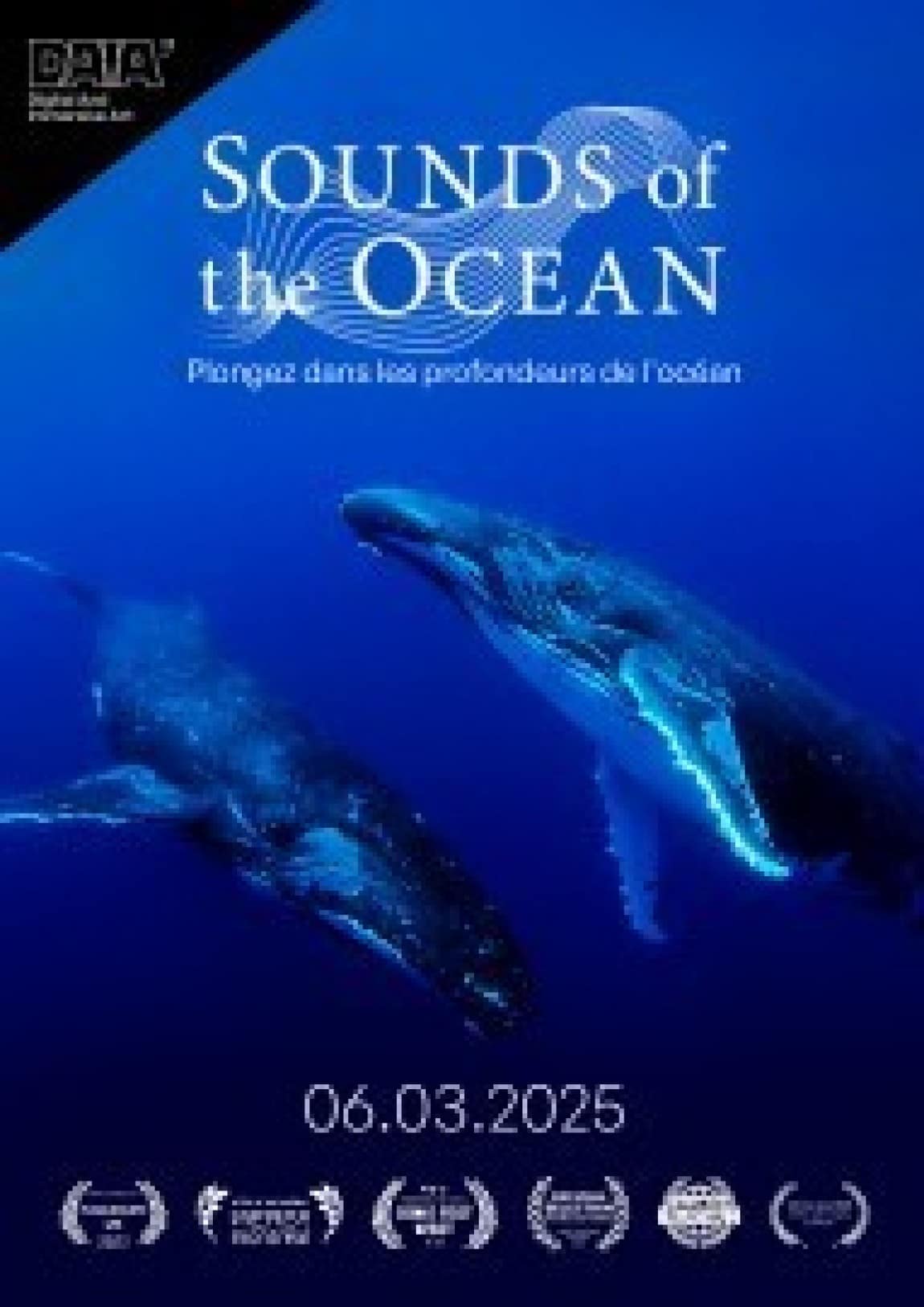 🎵 Sounds of the Ocean – Concert immersif - Léman Events