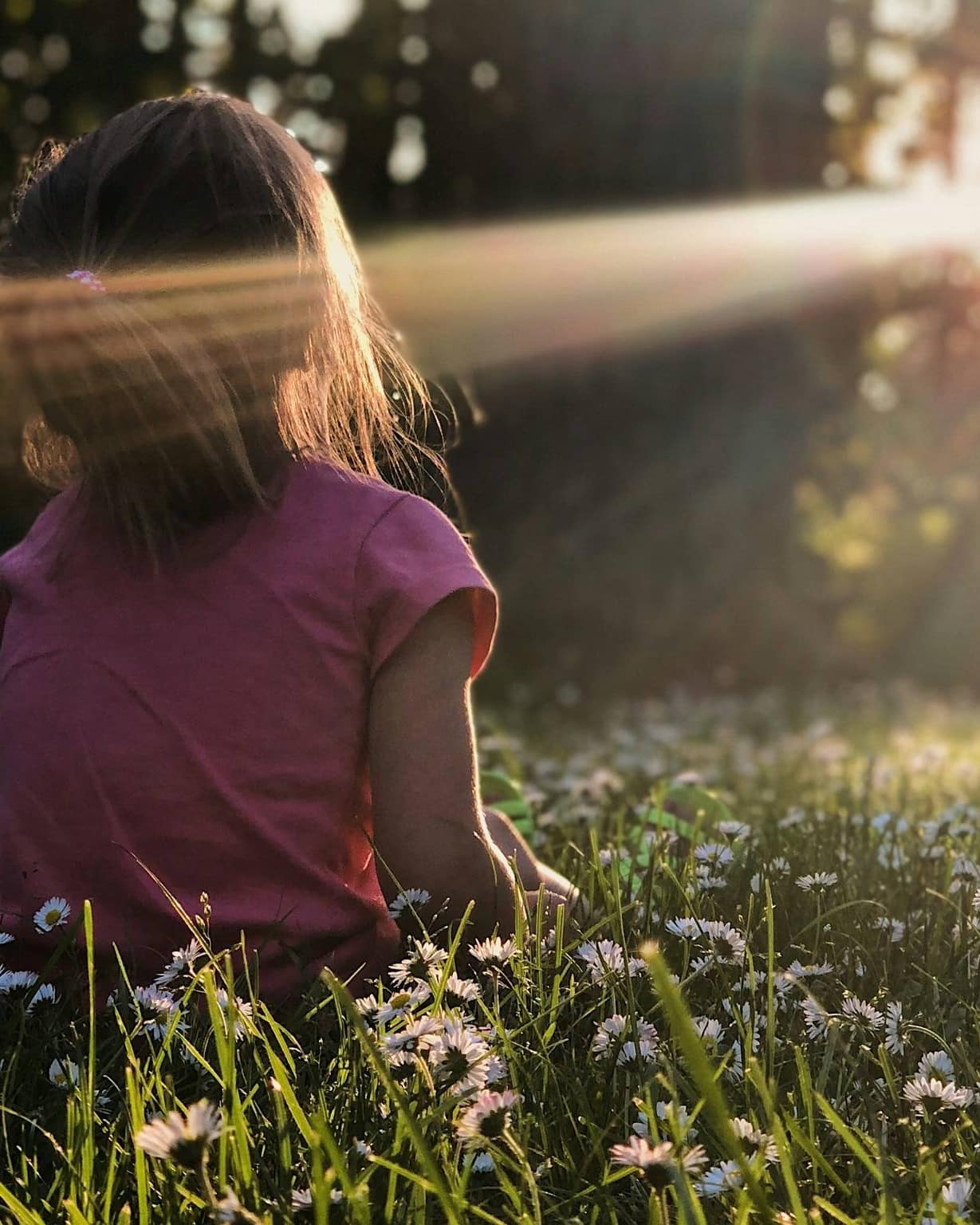 Forest Mind em Família – Monsanto 2025 – Natureza