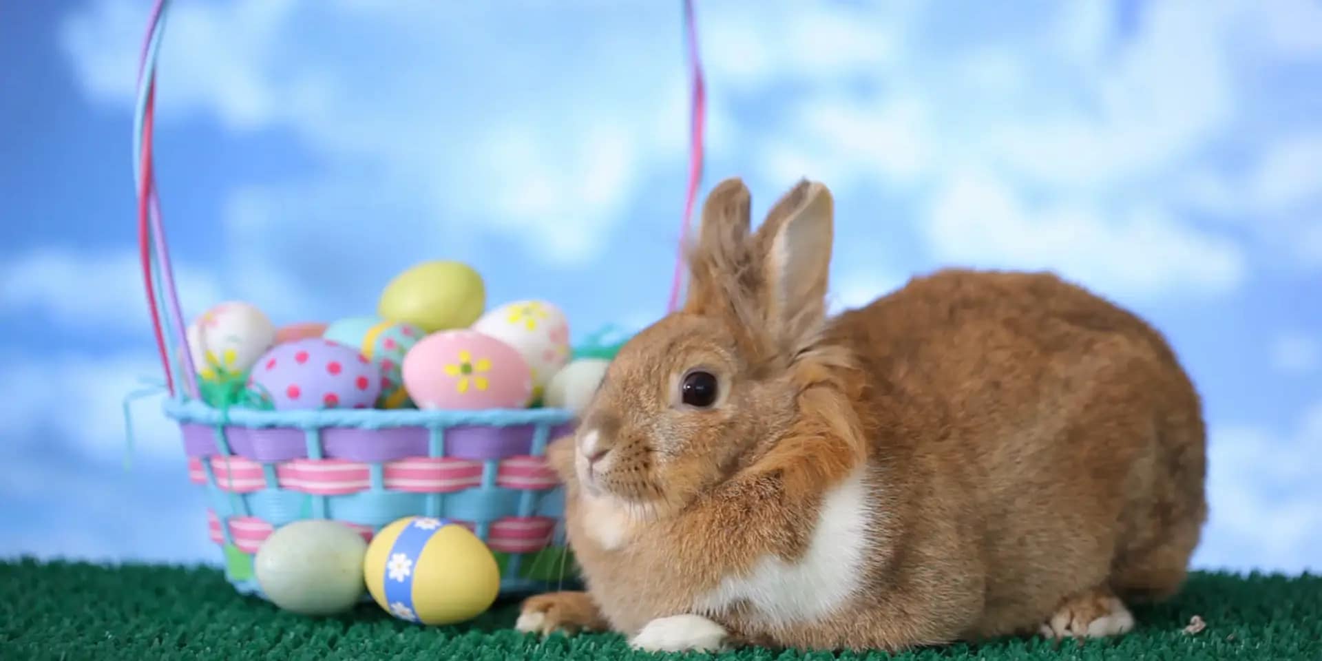 What to do for Easter in Lisbon with the kids